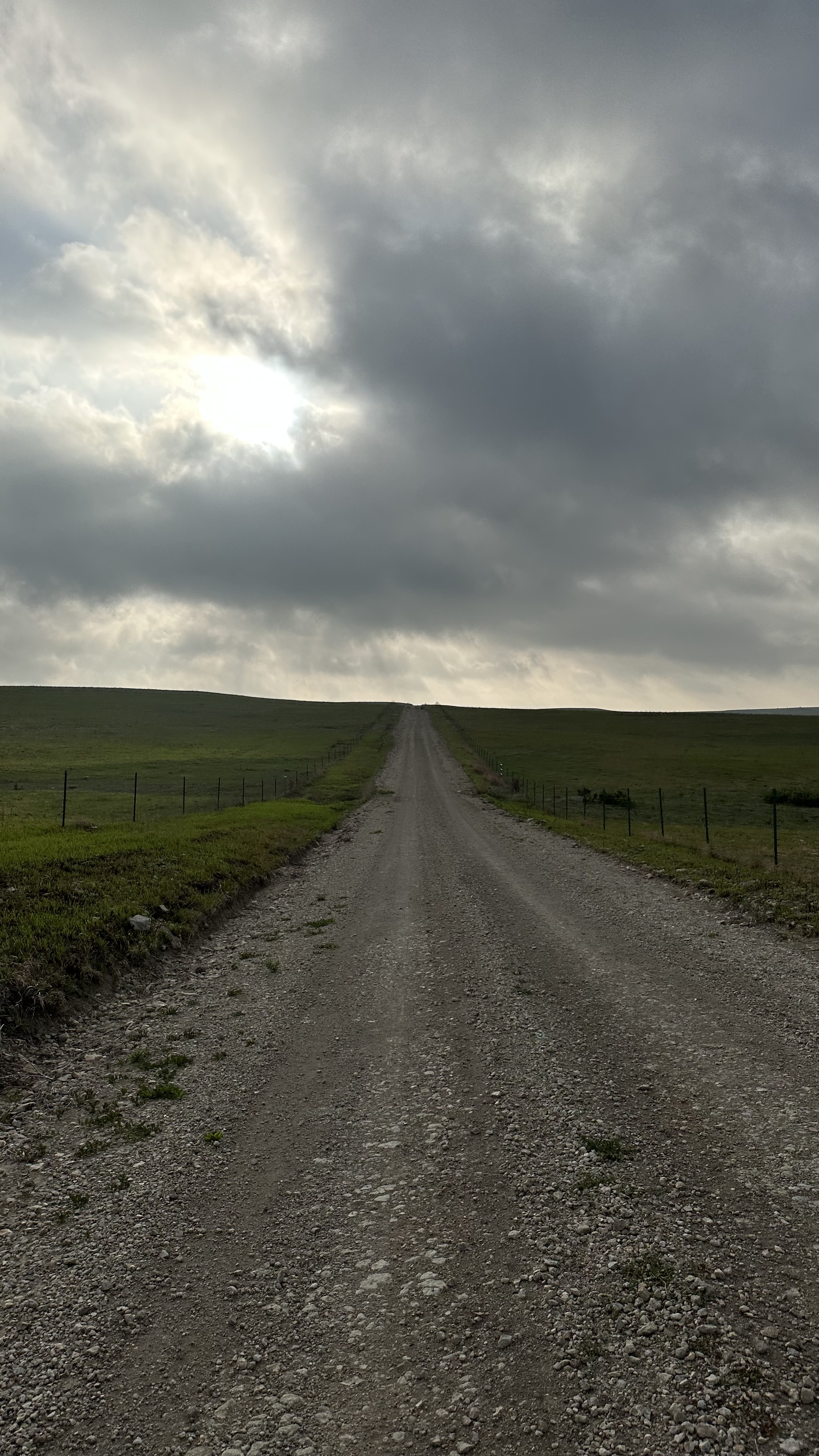 Running into 2024 – Hannah Adamson